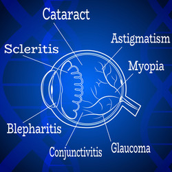 Lutein xanthophyll molecule it is type Royalty Free Vector