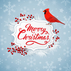Christmas with cardinal bird Royalty Free Vector Image