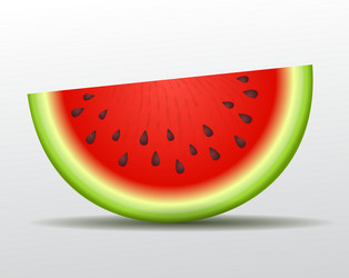 Ripe watermelon slice Royalty Free Vector Image
