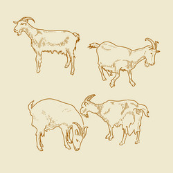 Ruminant Vector Images (over 750)