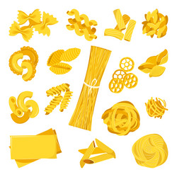Realistic pasta italian spaghetti shells Vector Image