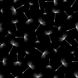 Black fluff dandelion on white background Vector Image