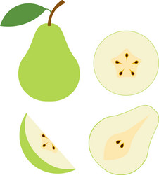 Green pear cartoon set cross section cut pear Vector Image
