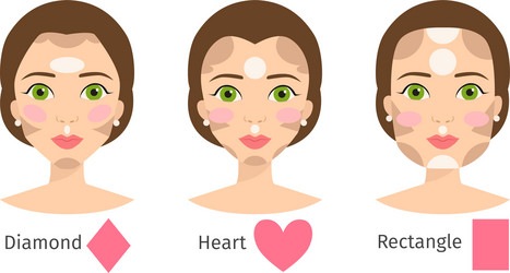 Set of different woman face types Royalty Free Vector Image