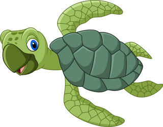 Little sea turtle cartoon animal Royalty Free Vector Image