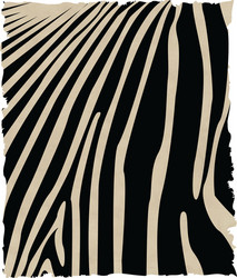 Dripping zebra silhouette Royalty Free Vector Image