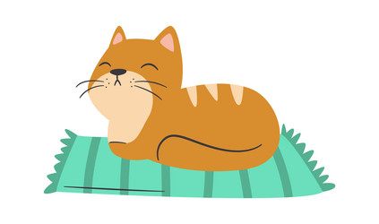 Cat lying on mat Royalty Free Vector Image - VectorStock