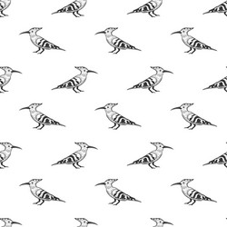 Upupa Epops Vector Images (88)