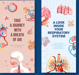 Respiratory flyer design with human anatomy Vector Image