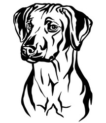 Ridgeback Vector Images (over 140)