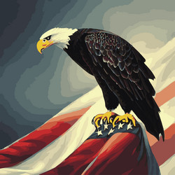Portrait of a bald eagle Royalty Free Vector Image
