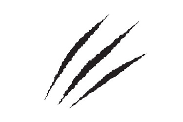 Three cat scratches set with different sharp Vector Image