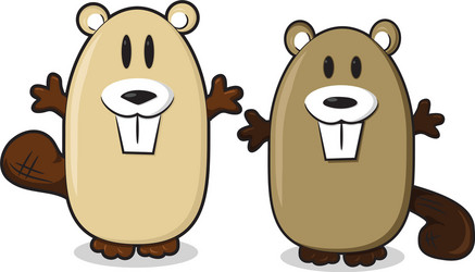 Beaver Dam Vector Images (over 170)