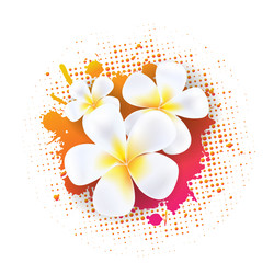 Bali Border Frame Vector Images (over 130)