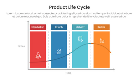 Product life cycle diagram chart infographic Vector Image