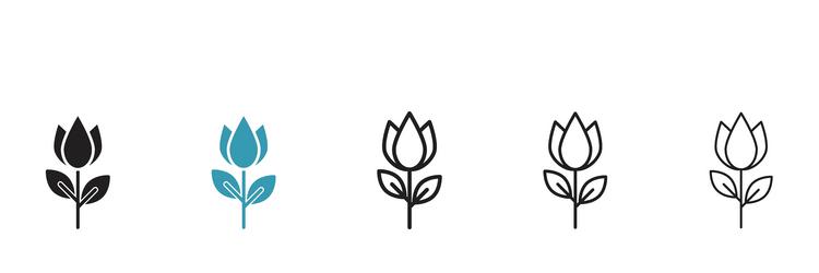 Tulip icon set florist dutch pattern symbol Vector Image