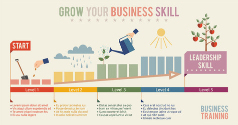 Database management skills circle infographic Vector Image