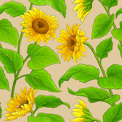 Sunflower Vector Images (over 43,000)