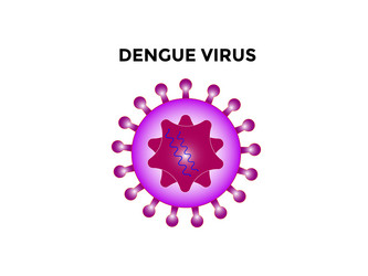 Dengue virus denv is the cause Royalty Free Vector Image