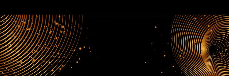 Golden minimal round lines and shiny dust Vector Image