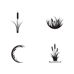 Reed Royalty Free Vector Image - VectorStock