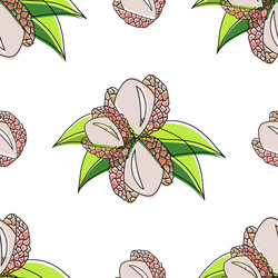 Lychee Vector Images (over 2,900)