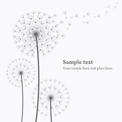 Blow dandelion concept Royalty Free Vector Image