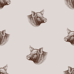 Pig head portrait isolated Royalty Free Vector Image