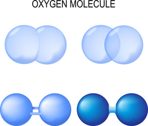 Oxygen o2 ozone o3 molecule models Royalty Free Vector Image