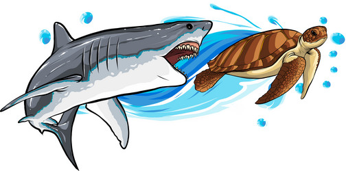 Shark Gills Vector Images (over 160)