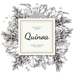 Quinoa Vector Images (over 1,300)