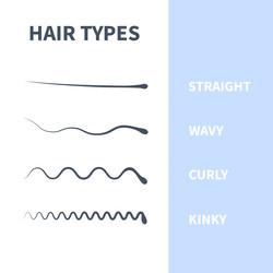 Hair types chart set of strands growth patterns Vector Image