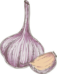 Sticker garlic Royalty Free Vector Image - VectorStock