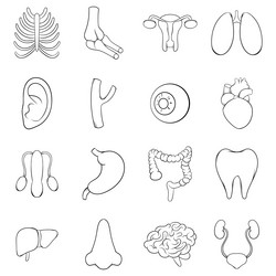 Cecum Vector Images (over 350)