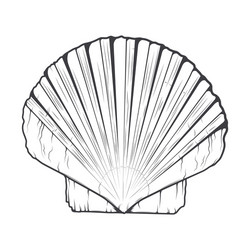 Shell Vector Images (over 110,000)
