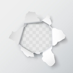 Black torn paper isolated on transparent Vector Image