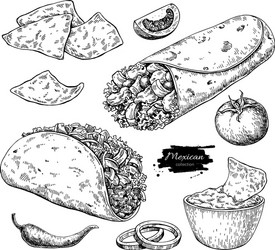 Mexican cuisines drawing traditional food Vector Image