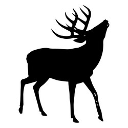 Elk Tracks Vector Images (over 190)