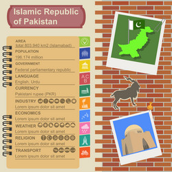 Pakistan infographics statistical data sights Vector Image
