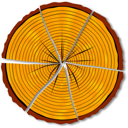 Split log Royalty Free Vector Image - VectorStock