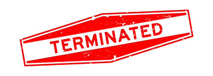 Red color inserted label with word terminated Vector Image