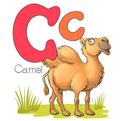 Ox o letter cute children animal alphabet Vector Image