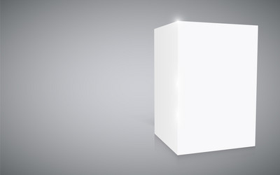 Blank white cube isolated on white background Vector Image