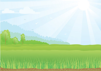 Sunshine Vector Images (over 150,000)