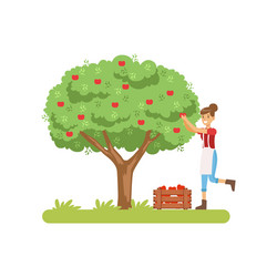 Apple Falling From Tree Vector Images (38)