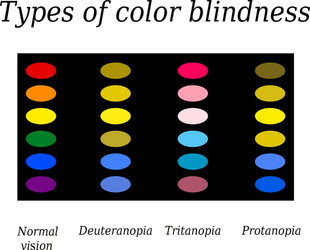 Types of color blindness eye perception Royalty Free Vector