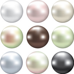 Color pearls Royalty Free Vector Image - VectorStock