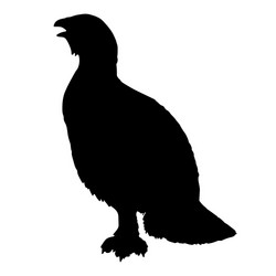 Partridge Silhouette Vector Images (80)