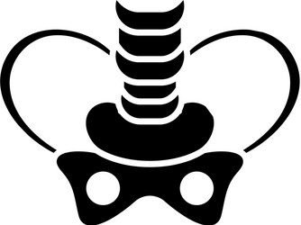 Pelvic Logo Vector Images (over 250)