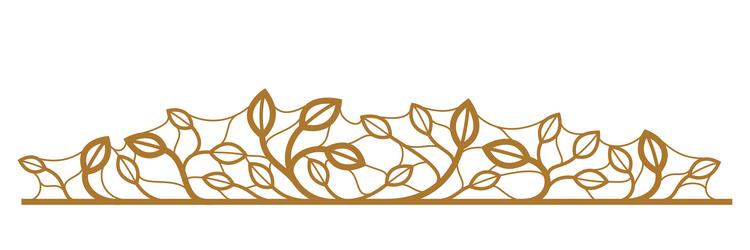 Beautiful linear floral design isolated on white Vector Image